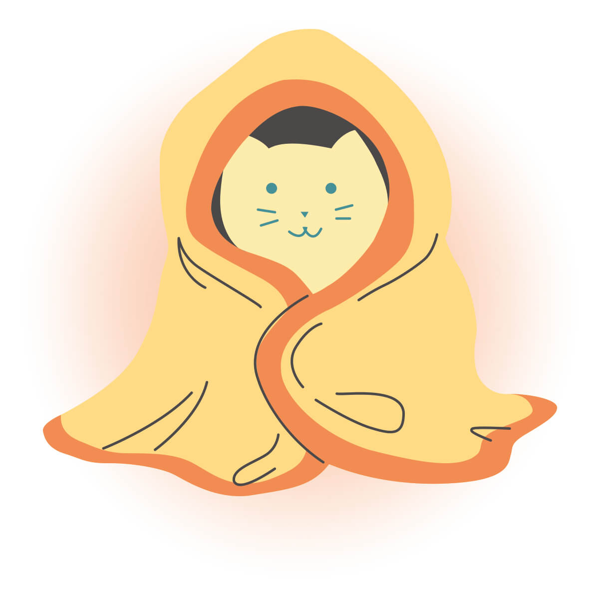 Пледи у Бердянську Купити плед з написами та малюнками Плед і Кіт